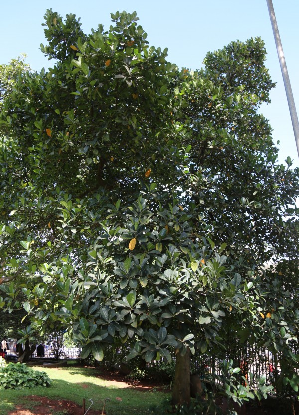 -KCCA | For a better City