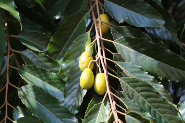 -KCCA | For a better City