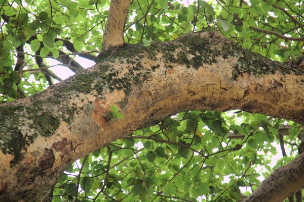 -KCCA | For a better City