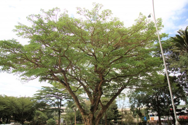 -KCCA | For a better City