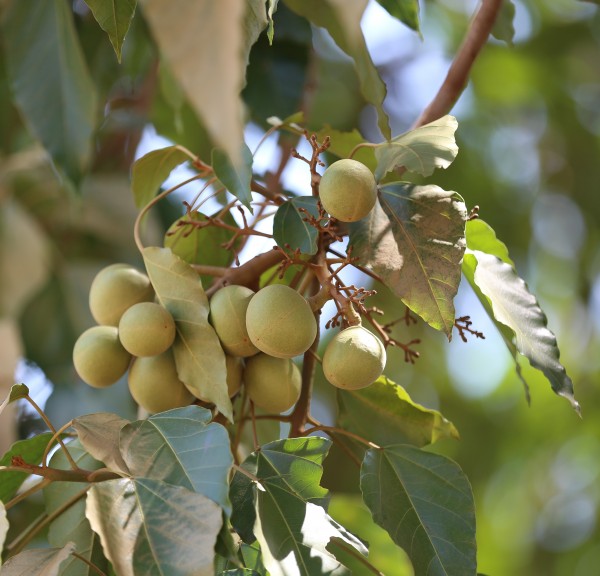 -KCCA | For a better City