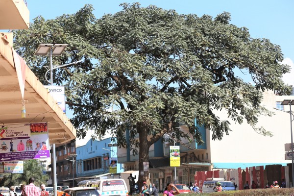 -KCCA | For a better City