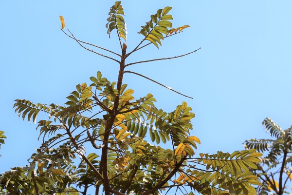 -KCCA | For a better City