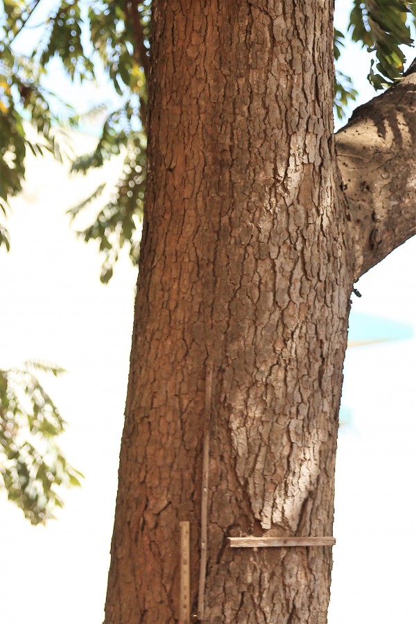 -KCCA | For a better City