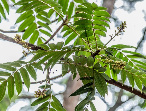 -KCCA | For a better City