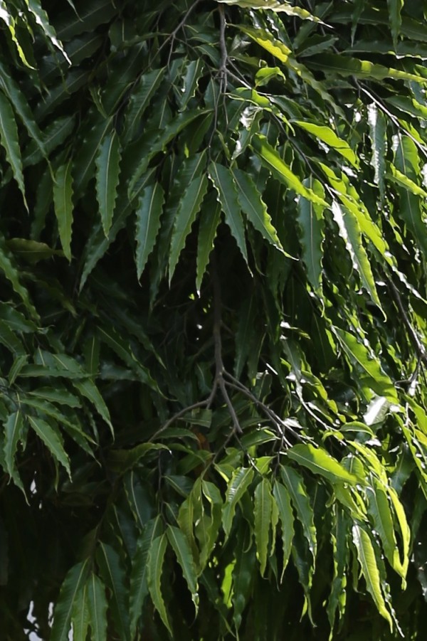 -KCCA | For a better City