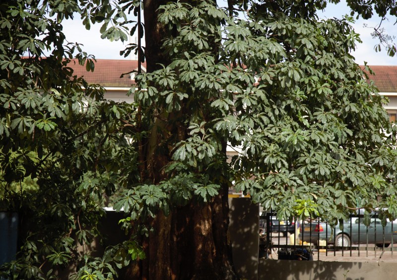 -KCCA | For a better City