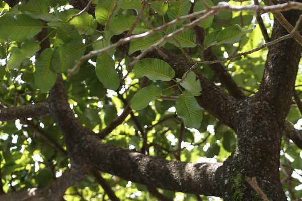 -KCCA | For a better City