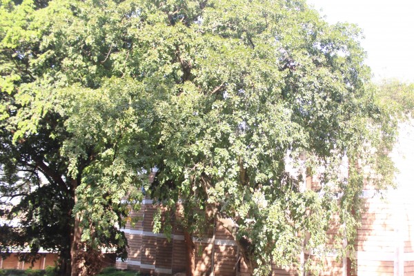 -KCCA | For a better City