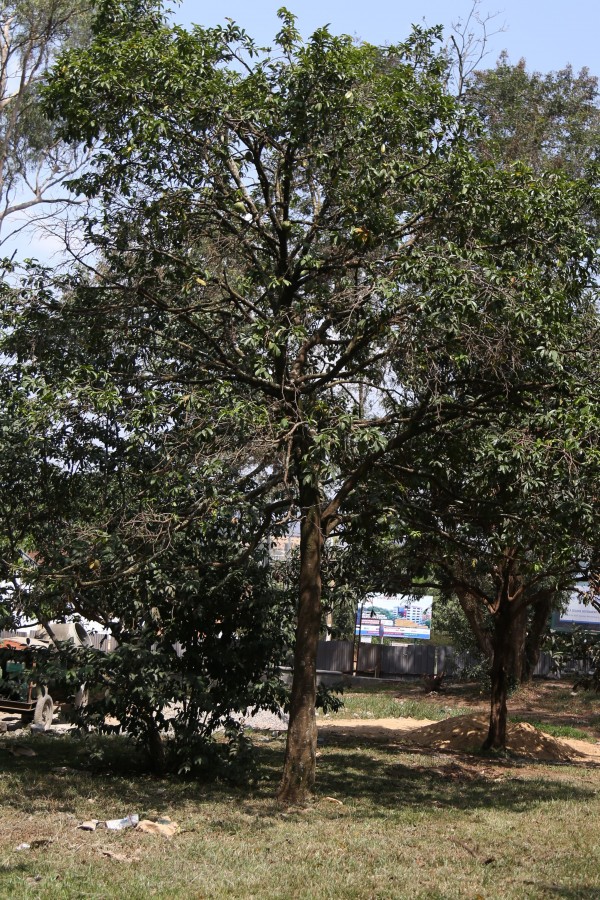 -KCCA | For a better City