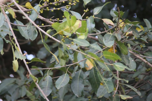 -KCCA | For a better City