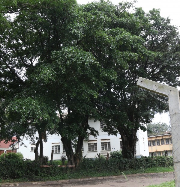 -KCCA | For a better City