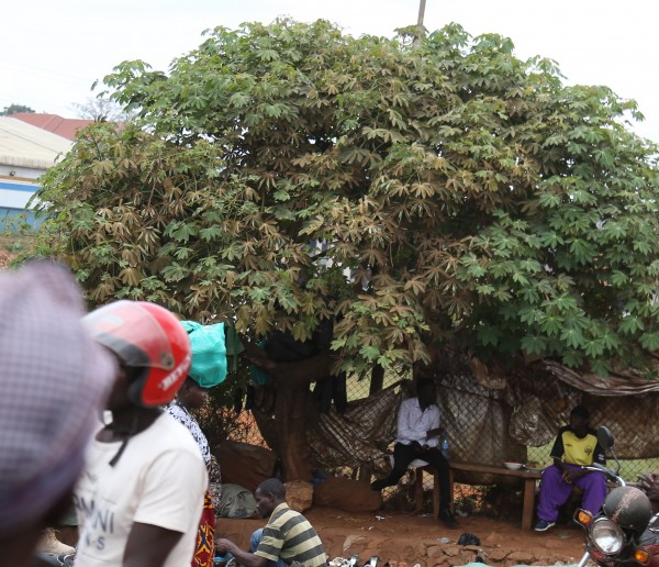 -KCCA | For a better City