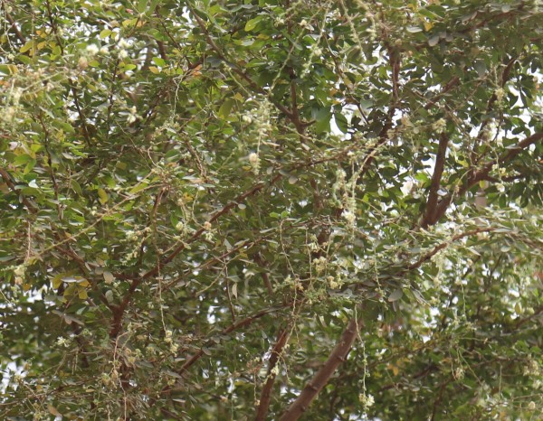 -KCCA | For a better City