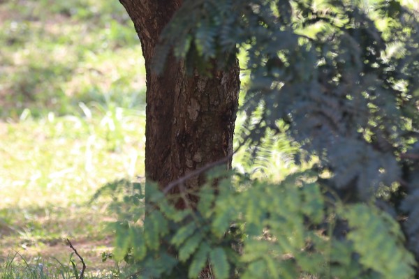 -KCCA | For a better City