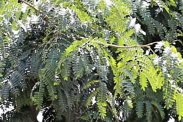 -KCCA | For a better City