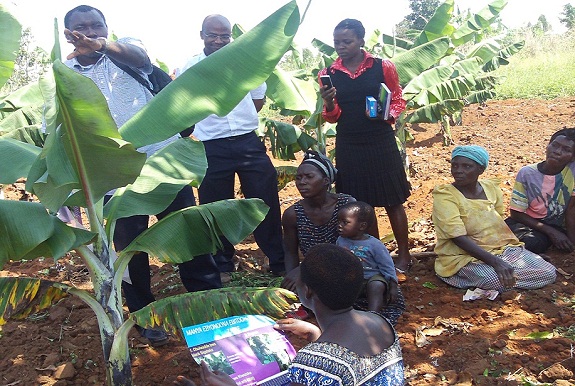 Coalition for Health Agricultural and Income Networks (CHAIN) Uganda ...